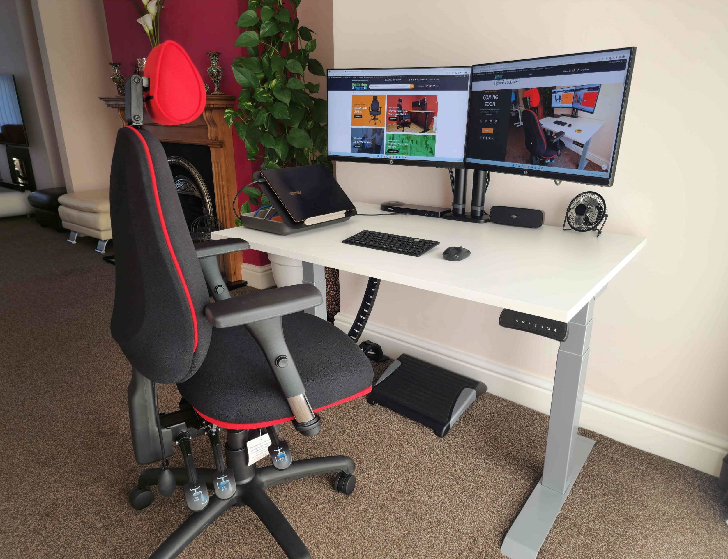 Wellbeing&Ergonomics – Ergonomic Chairs | Sit-Stand Desks | Monitor ...